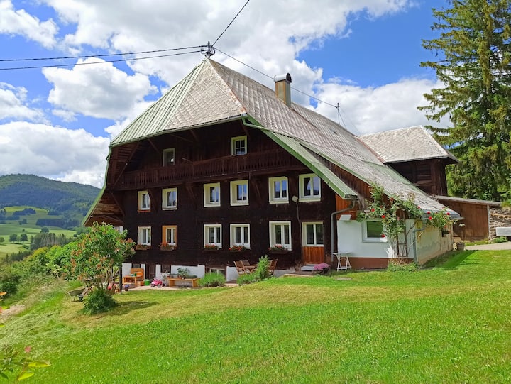 Schwarzwaldhof - Traumhafte Lage - Todtnauberg