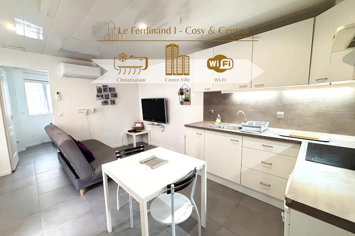 Le Ferdinand I - Cosy & Central - Roanne