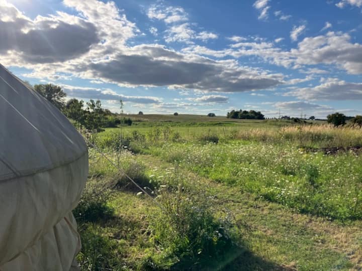 Helle Jurte "Sonnenblume" Mit Panoramablick - Brandenburg