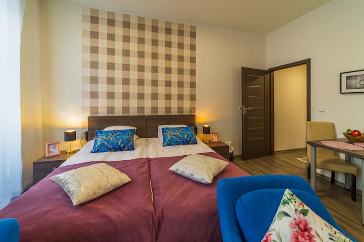 Residence Old Town Studio 2c - Prague