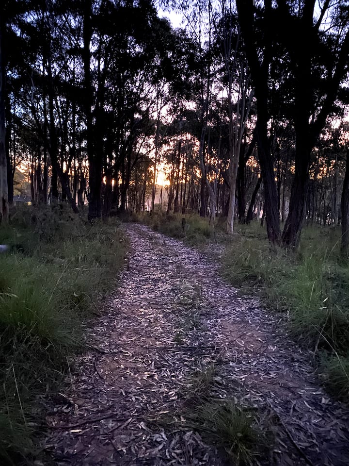 Werriberri - Chough Cottage - 藍山