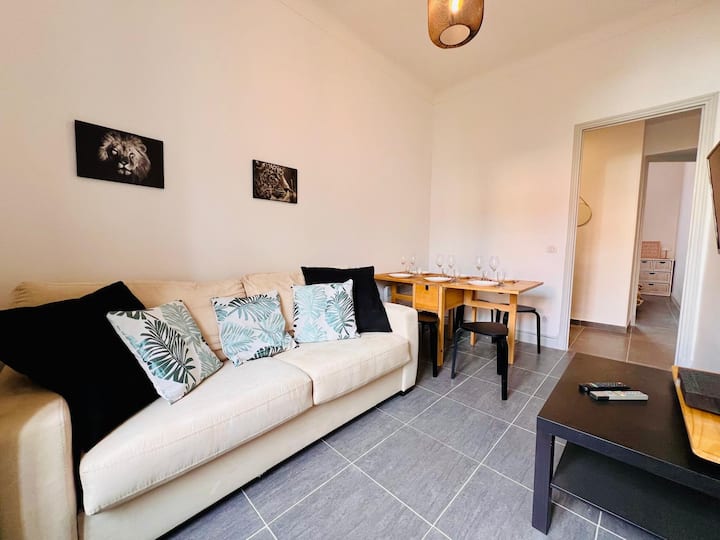 Superbe Appartement 3p Hyper Centre Wifi Clim - Niza