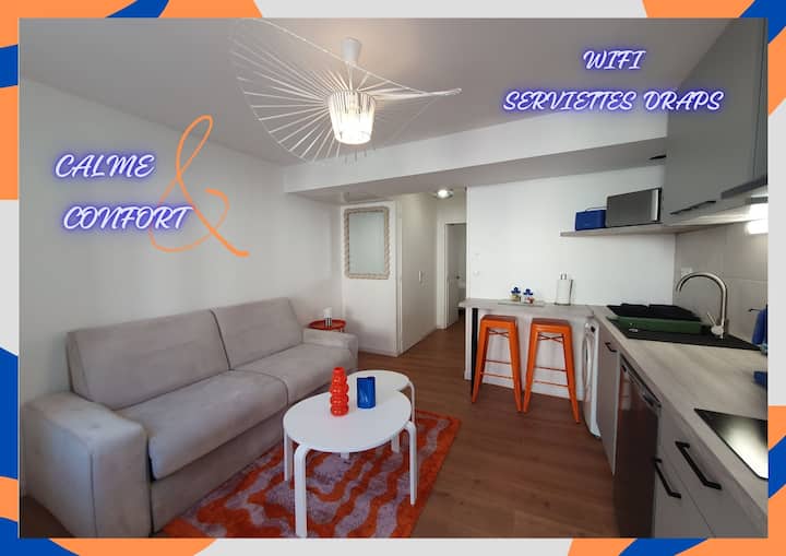 Appartement Cosy Montargis - Montargis