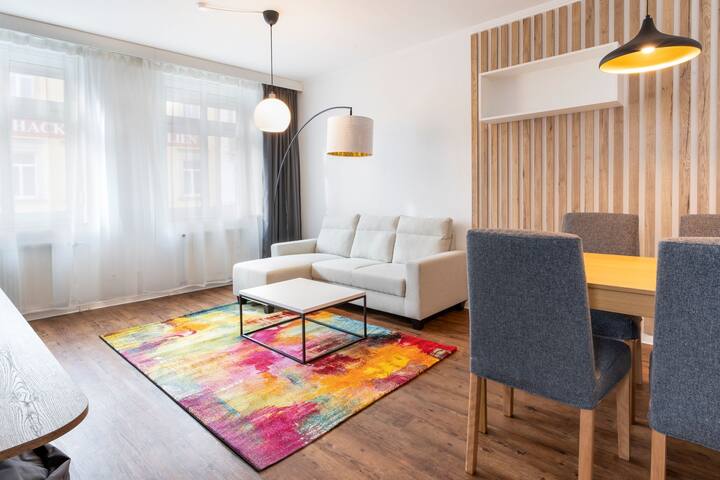 City Apartment Riesa - Riesa