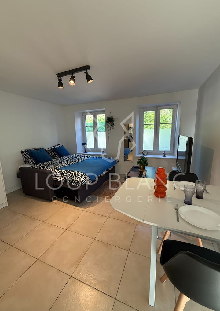 Proche Centre-ville Et Commerces - Studio Du Lion - Belfort