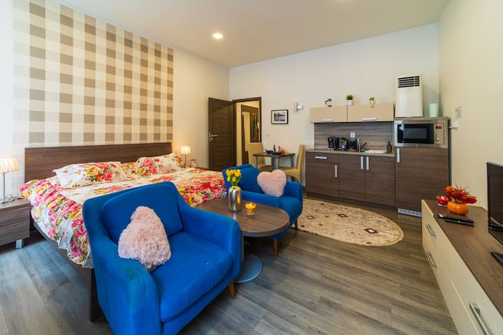 Residence Old Town Studio 3b - Prague