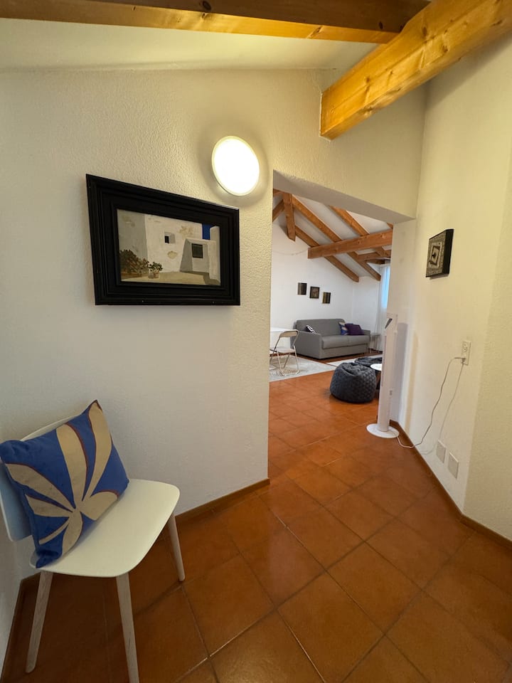 Appartamento Speciale Ad Ascona - Locarno