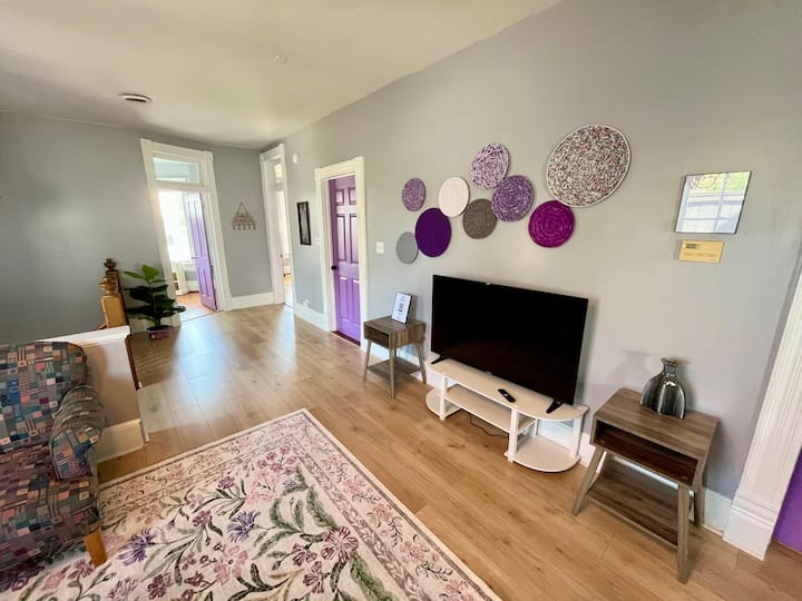 Historic Purple Paradise 3bdrm In Downtown Roanoke - Roanoke, VA