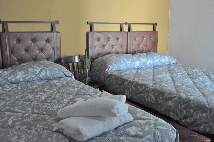Suite Doble Colonial Con Terraza #8 - Guanajuato