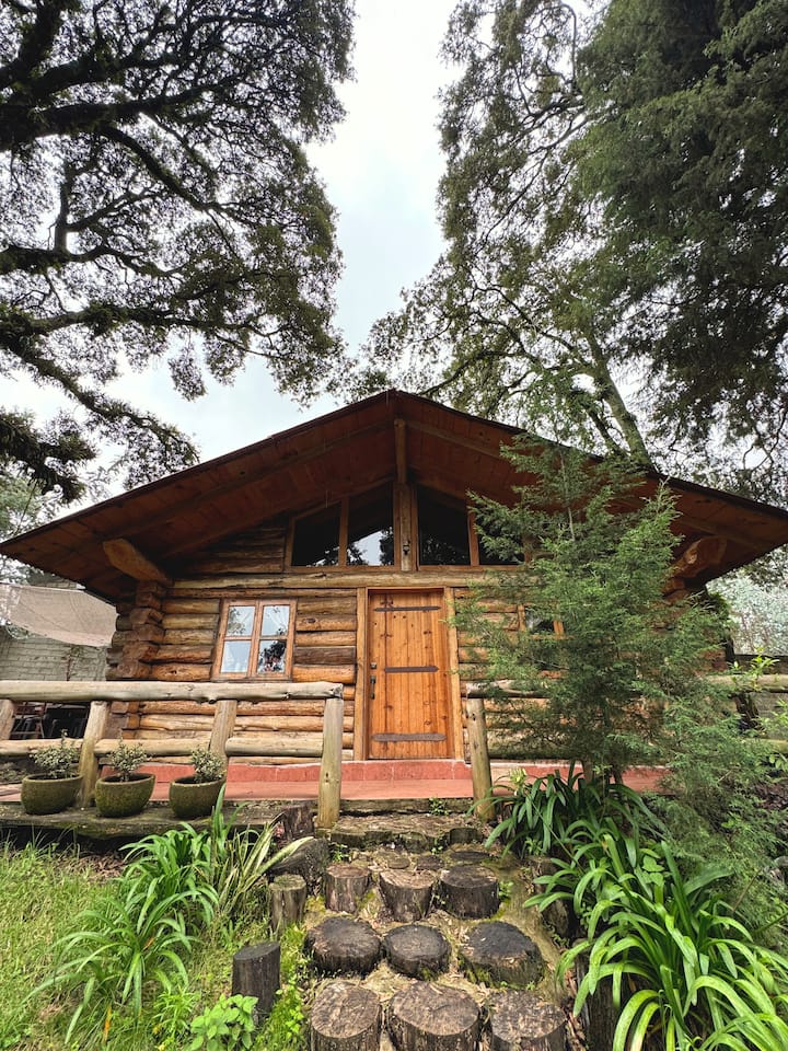 Cabaña Flor De Agave - Mexique