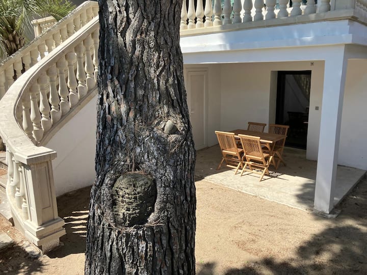 Studio Grand Pin Vue Mer / La Plage En Face - Argelès-sur-Mer