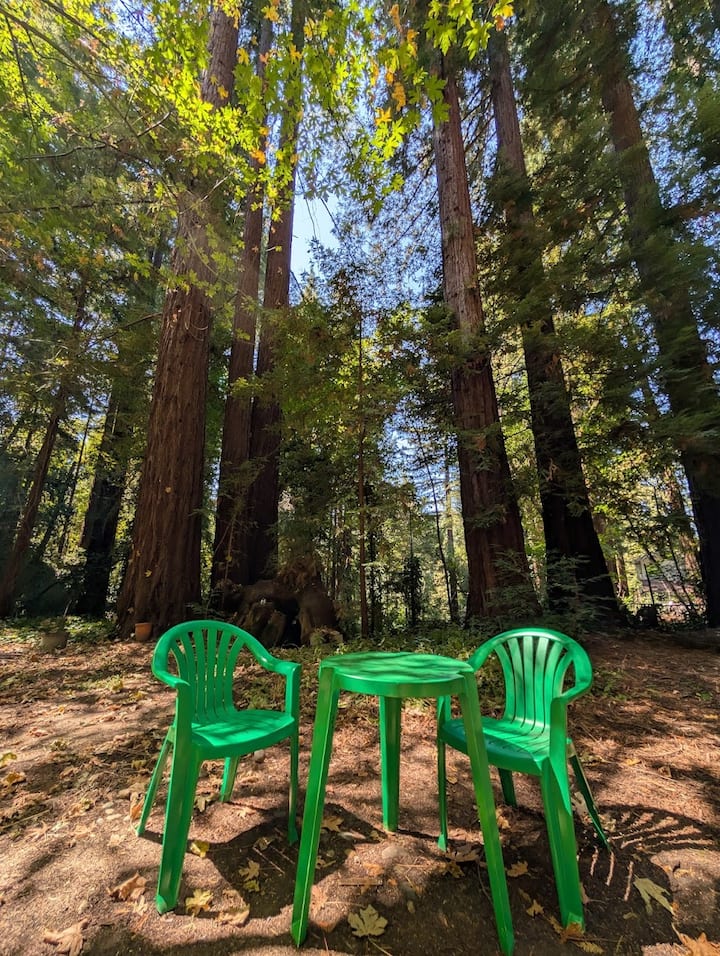 Peaceful Redwood Mini Studio - Castle Rock State Park, Los Gatos