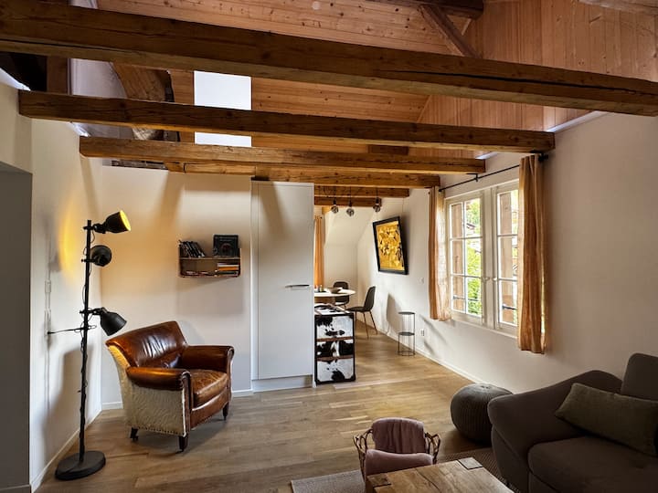 Comfy, Spacious And Central Duplex Apartment - Saanen