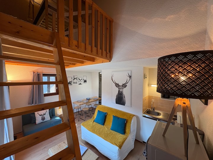Studio * * Lumineux 27m2 Les Fontenilles - Cluses