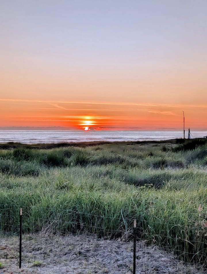 New! Oceanfront-beach Path-views-kid/dog Friendly - Twin Harbors State Park, Westport
