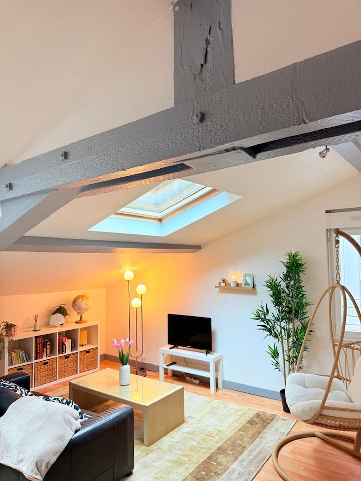 • Le Brienne • T2 / Canal Du Midi / Charme & Calme - Toulouse