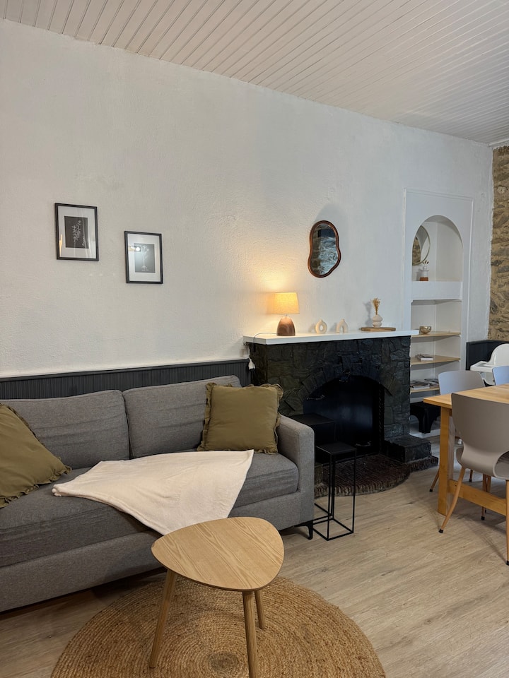 Appartement De Charme T2 En Rdc - Laruns