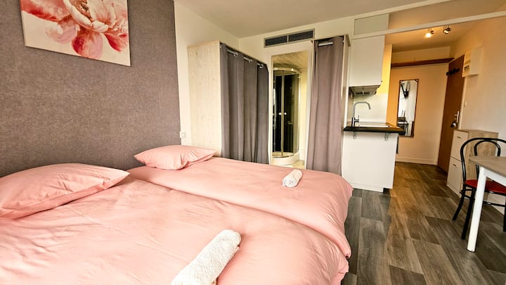 Studio Rénové à Dax Proche Des Thermes - Dax