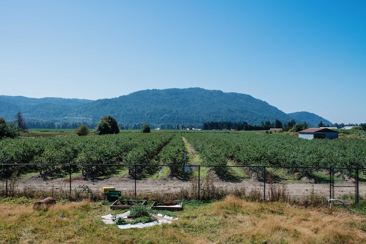 Serene 3br Cabin On 8 Acre Farm - Abbotsford