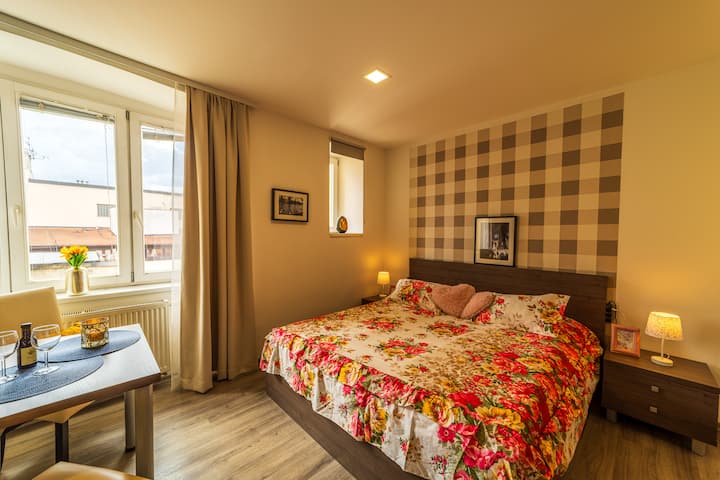 Residence Old Town Studio 1e - Prague