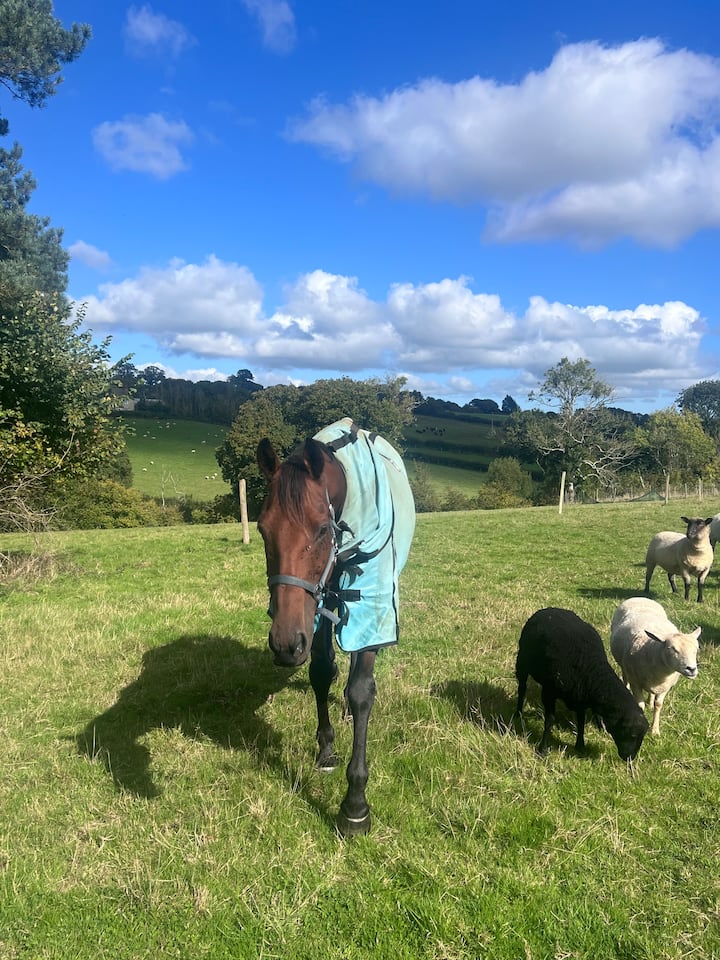 Old Dairy Cottage. Farm Retreat & Animal Sanctuary - デボン