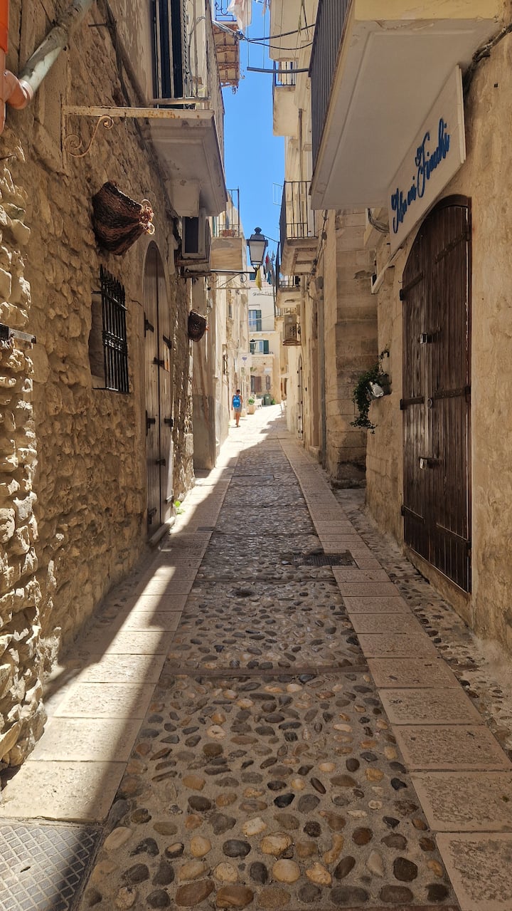 Nel Cuore Del Centro Storico - Vieste