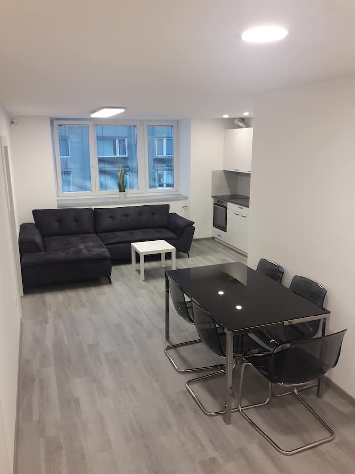 Apartment - Liubliana