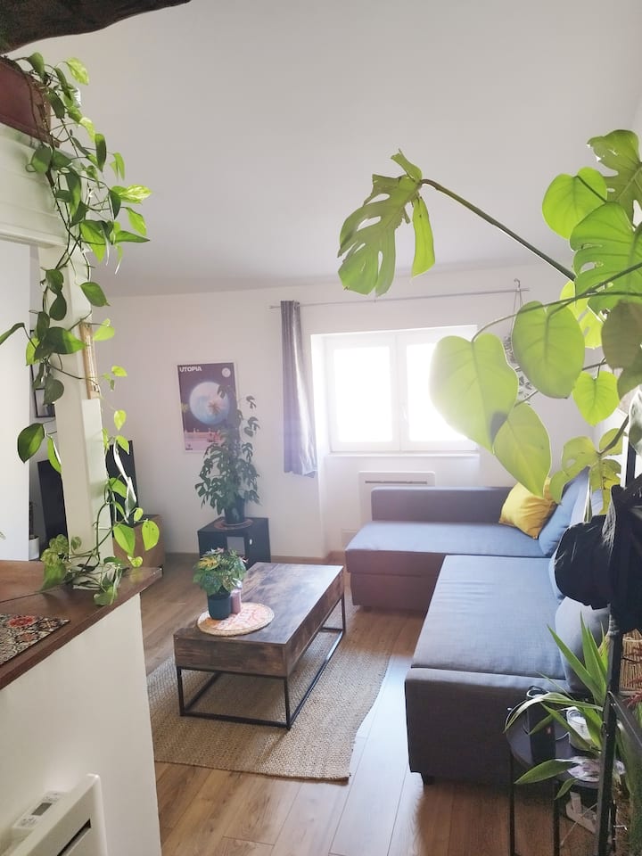 Studio Cosy En Plein Centre De Lyon - Lyon