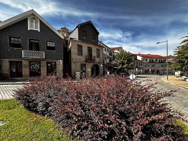 Casa Histórica Renovada Centro De Vila Perto Praia - Cinfães