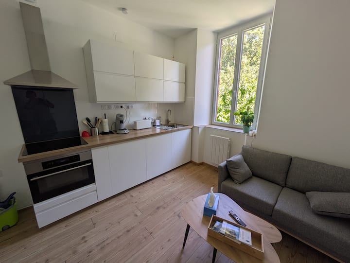 T2 Entièrement Rénové Centre Ville Côté Jardin - Briançon
