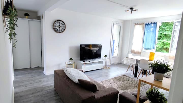 Les Erables Appart - 3 Chambres - Saran