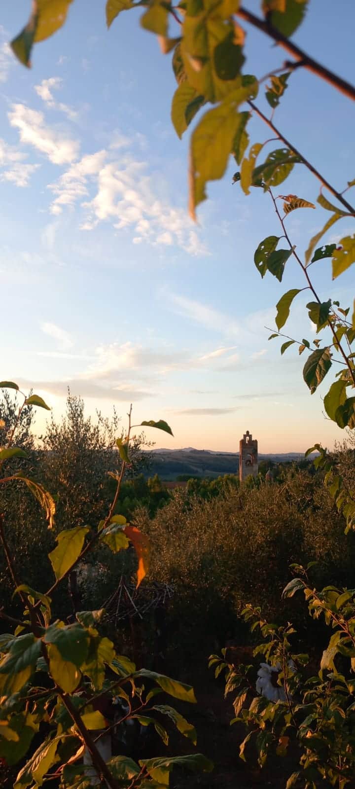 Dimora San Francesco - Rapolano Terme