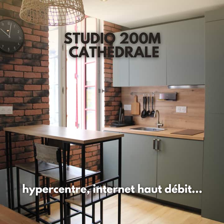 Charmant Studio Hyper Centre - Aude
