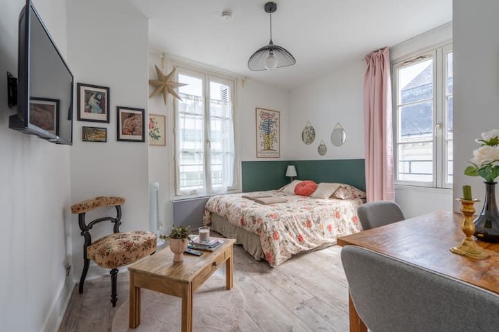 Vieux Tours Studio Halles - Tours