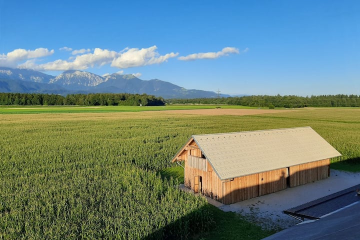 The Barn Košnik | Wooden Hayrack Apartment 2 - Kranj
