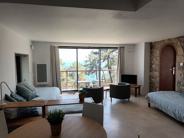Studio 6 - Bois Kador - Site Exceptionnel -Piscine - Crozon