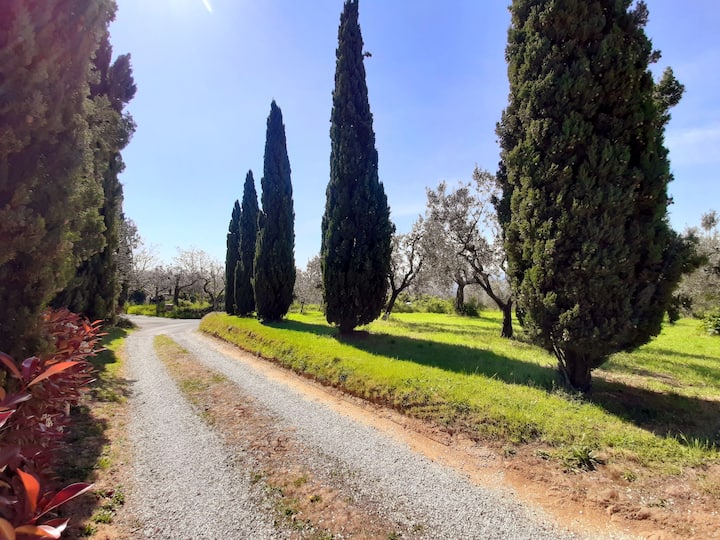 Il Palagio Luxury - Vinci