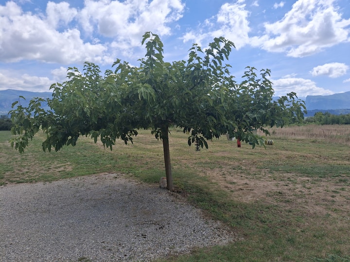 Emplacement Sur Terrain Calme - Saint-Bonnet-de-Chavagne