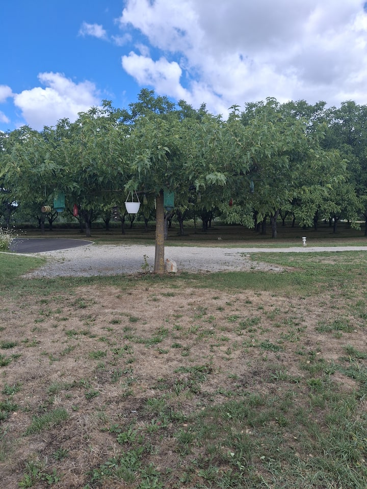 Emplacement Sur Terrain Calme - Saint-Bonnet-de-Chavagne