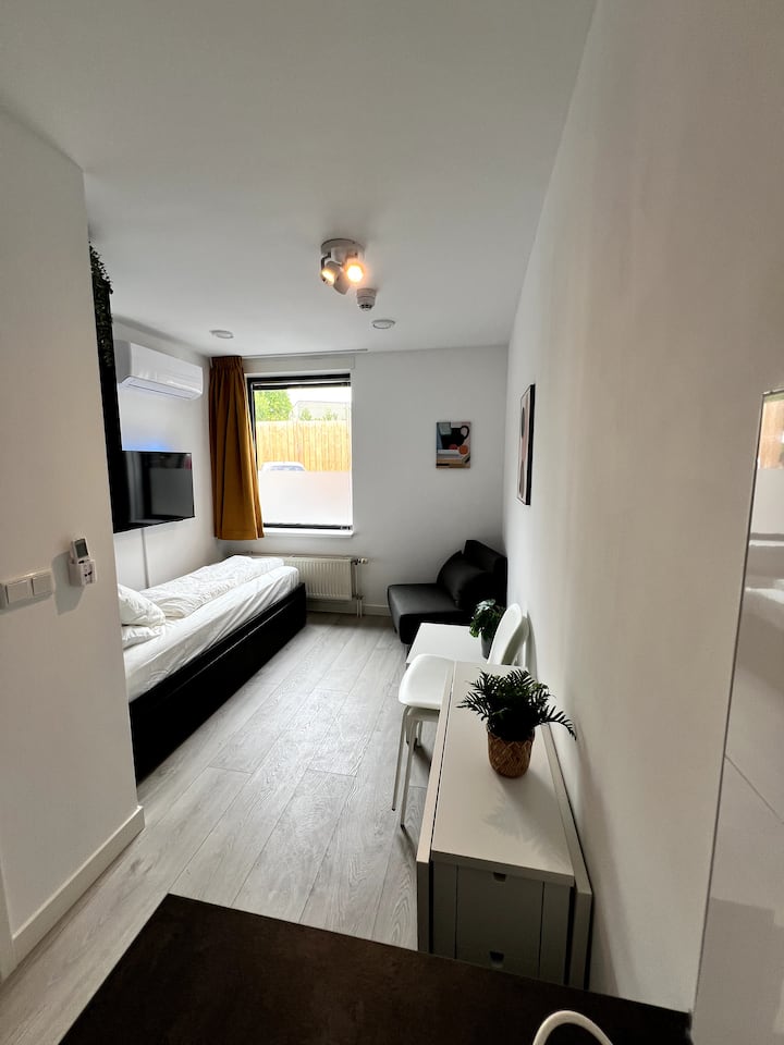 Economy Room - Países Bajos