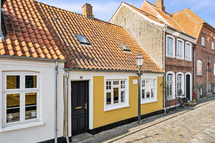 Townhouse In Ribe City Center - Ribe