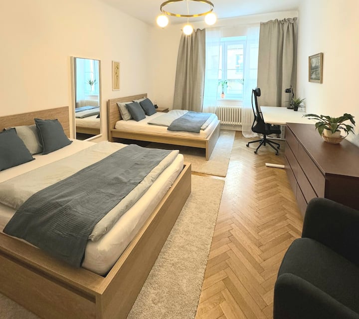 Brno Central Apartment - Brno