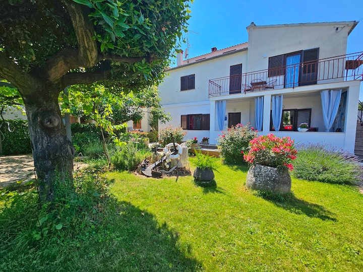 Apartment Ancora, 150 M From The Sea - Poreč