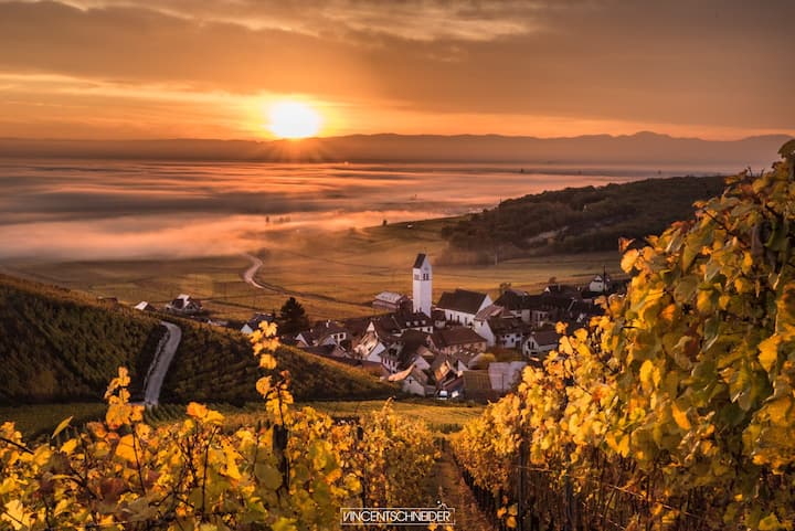 Gîte Familial 80 M2
Quartier Résidentiel - Molsheim