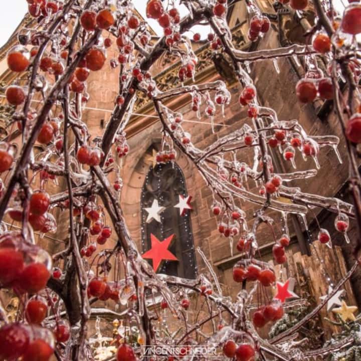 Gîte Familial 80 M2
Quartier Résidentiel - Molsheim