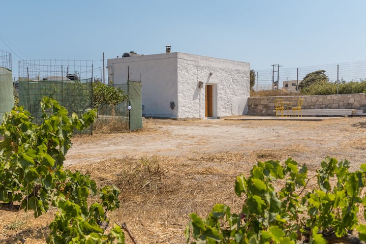 Paraspori - Milos