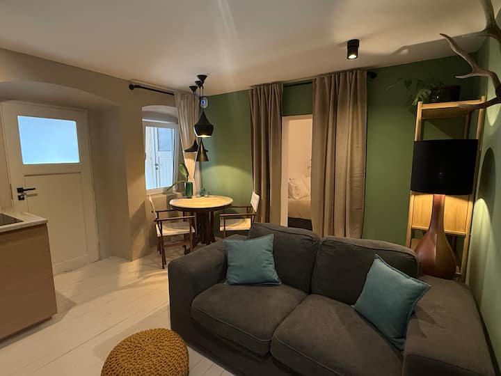 Vida's Homes One Bedroom Apartment - Ljubljana