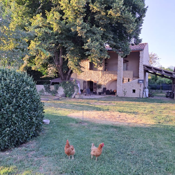 L’authentique Prairie - Alès