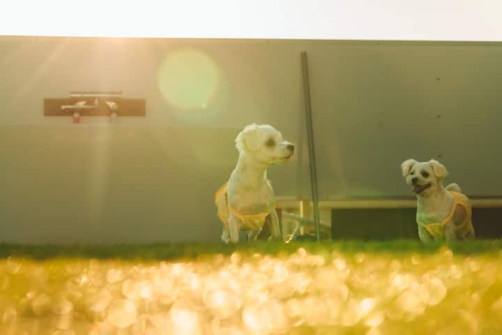 Shima Oceanview Villa｜theater & Bbq｜up To 10 Ppl - Shima