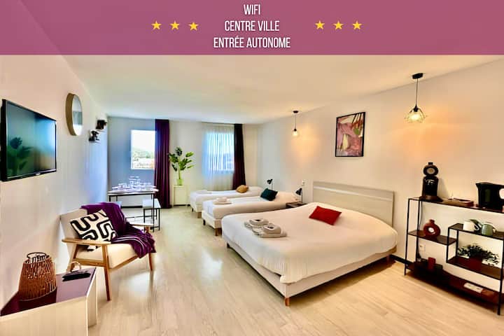 * Studio Zen Lourdes * 4 Personnes - Clim - Wifi - Lourdes